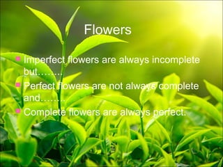 Plant anatomy presentation | PPT