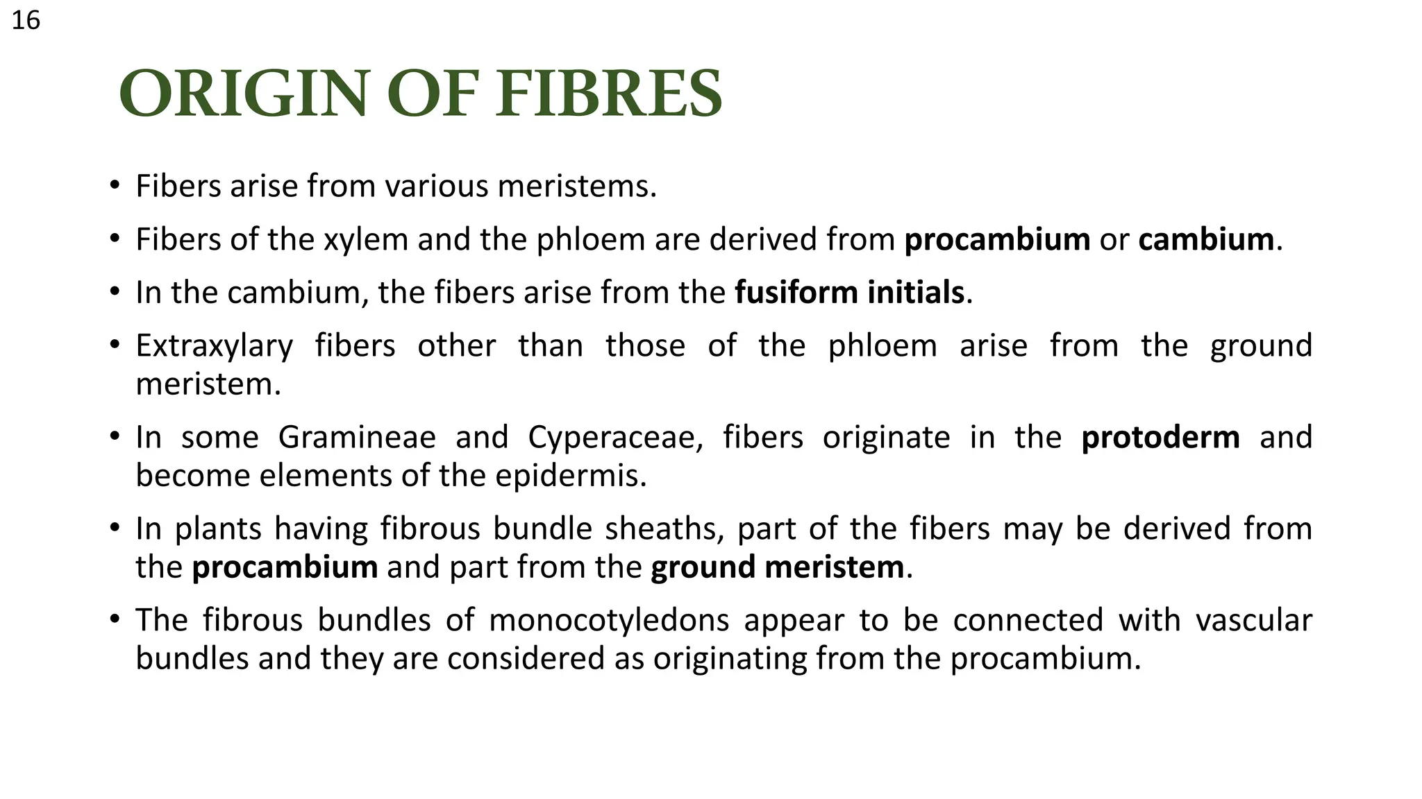 Plant fibres.........................pptx