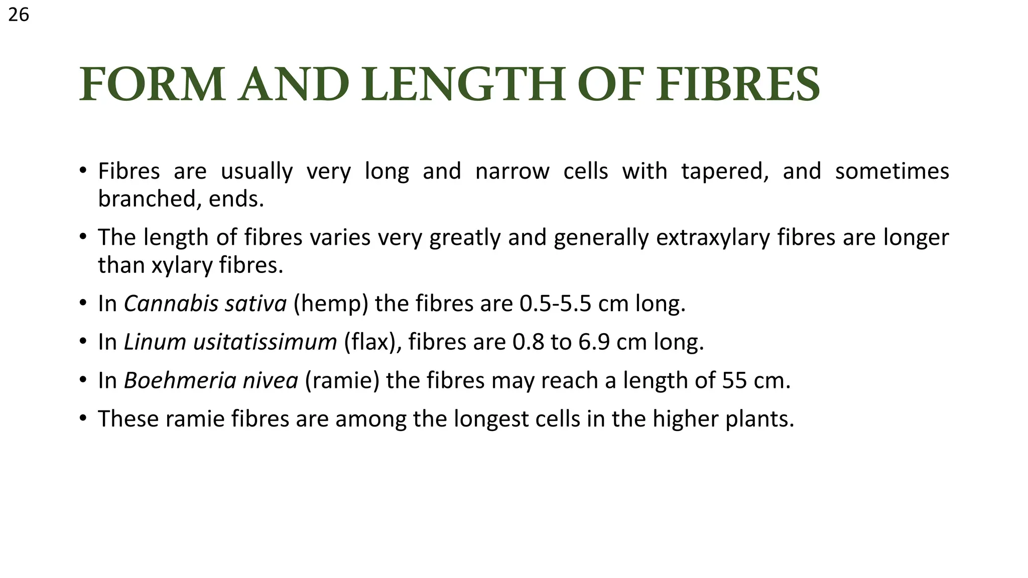Plant fibres.........................pptx