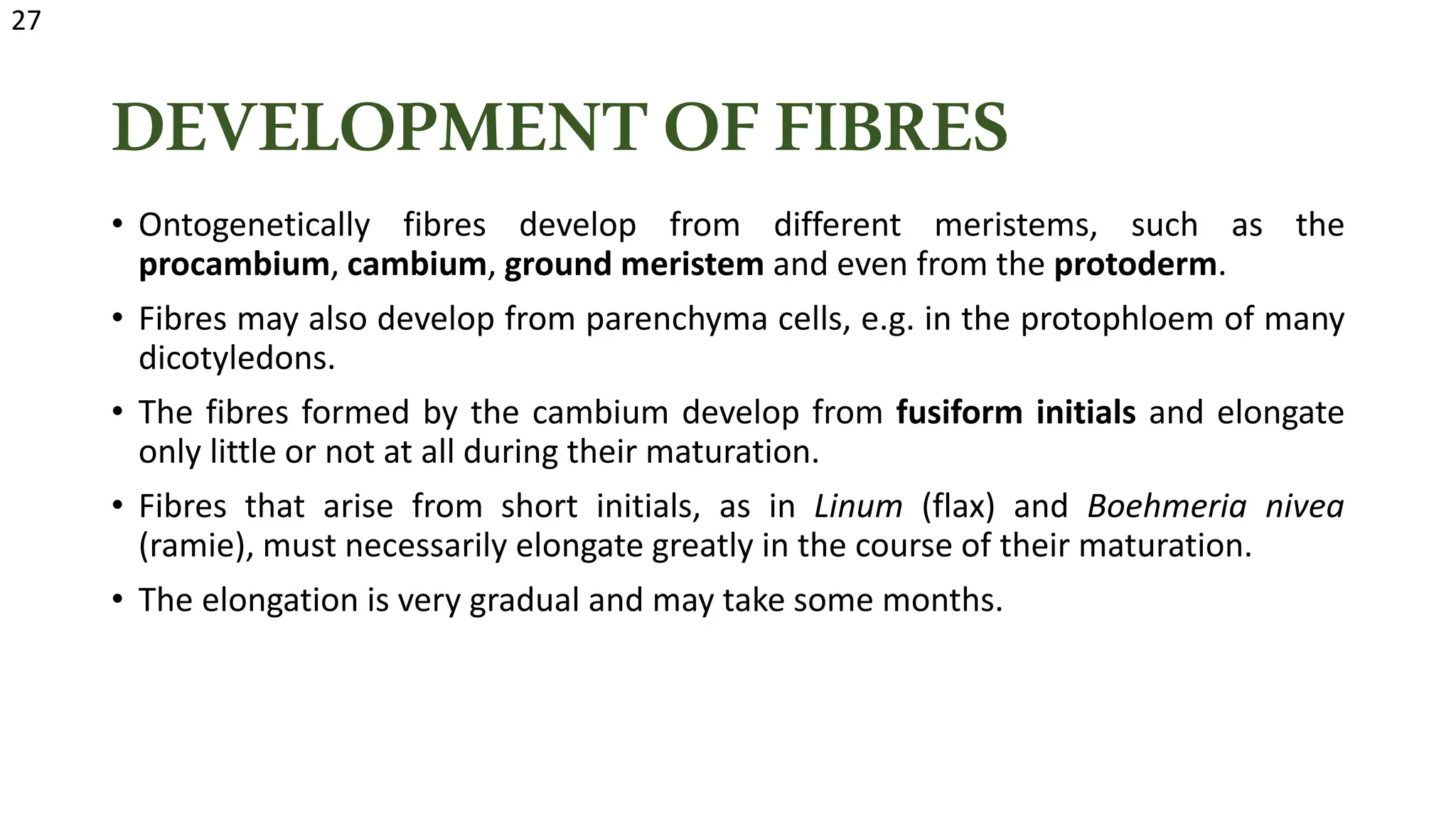 Plant fibres.........................pptx