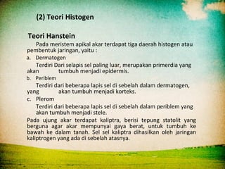 PPT Anatomi Tumbuhan | PPT