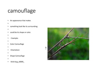 Plant and animal adaptation.pptx