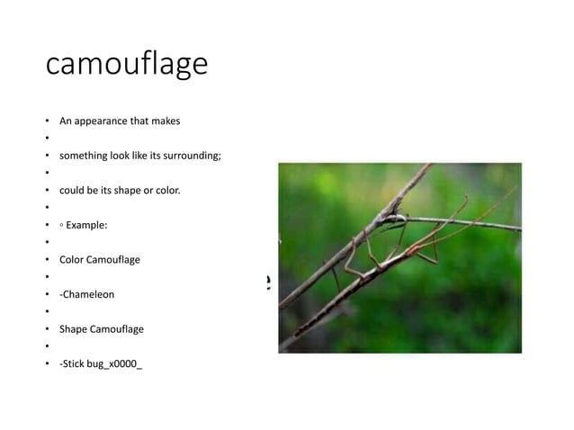 Plant and animal adaptation.pptx