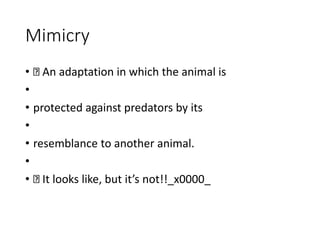 Plant and animal adaptation.pptx