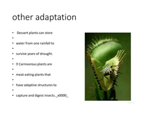 Plant and animal adaptation.pptx