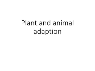 Plant and animal adaptation.pptx