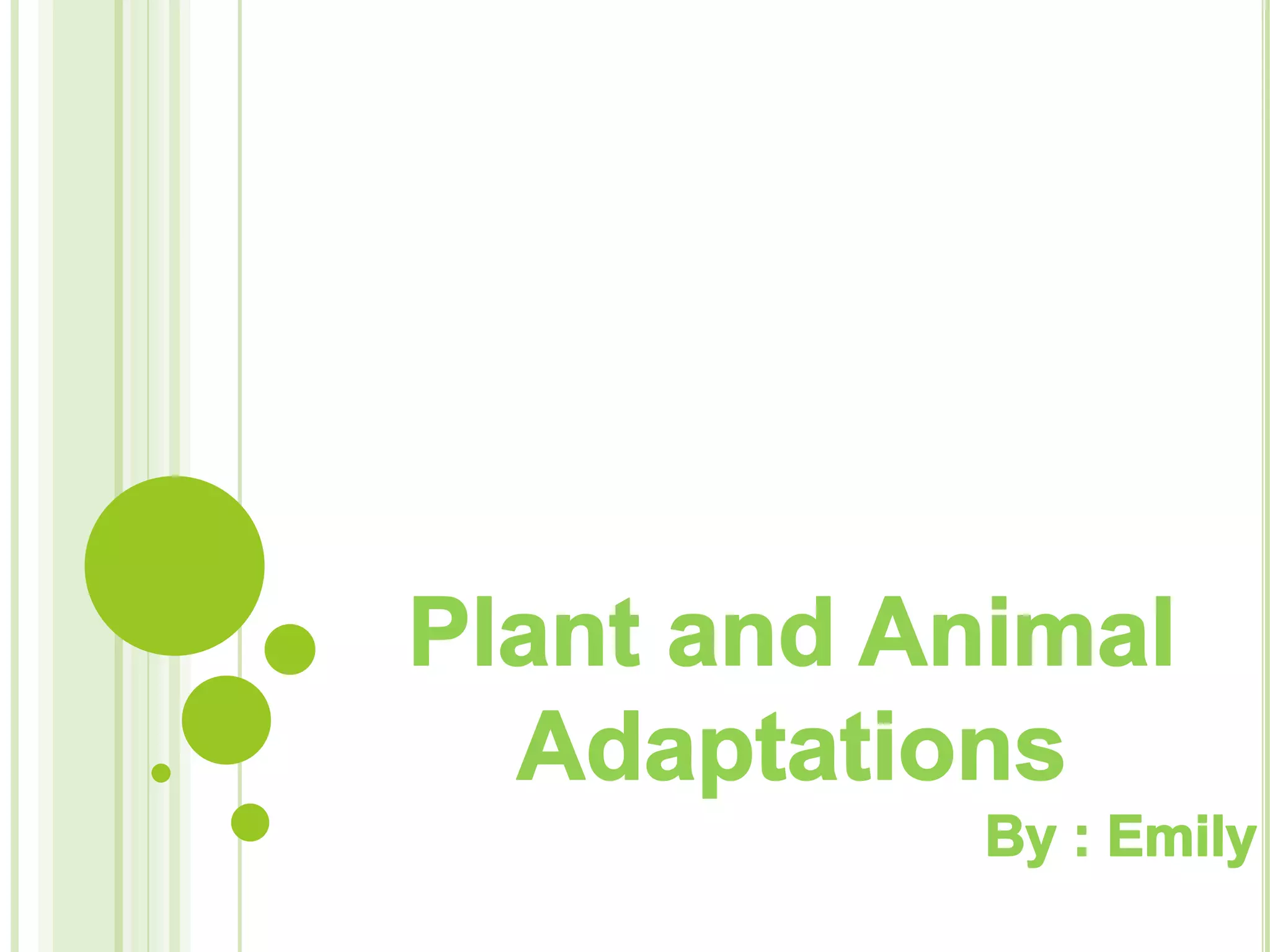 Plant and animal adaptations | PPTX