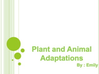 Plant and animal adaptations | PPTX