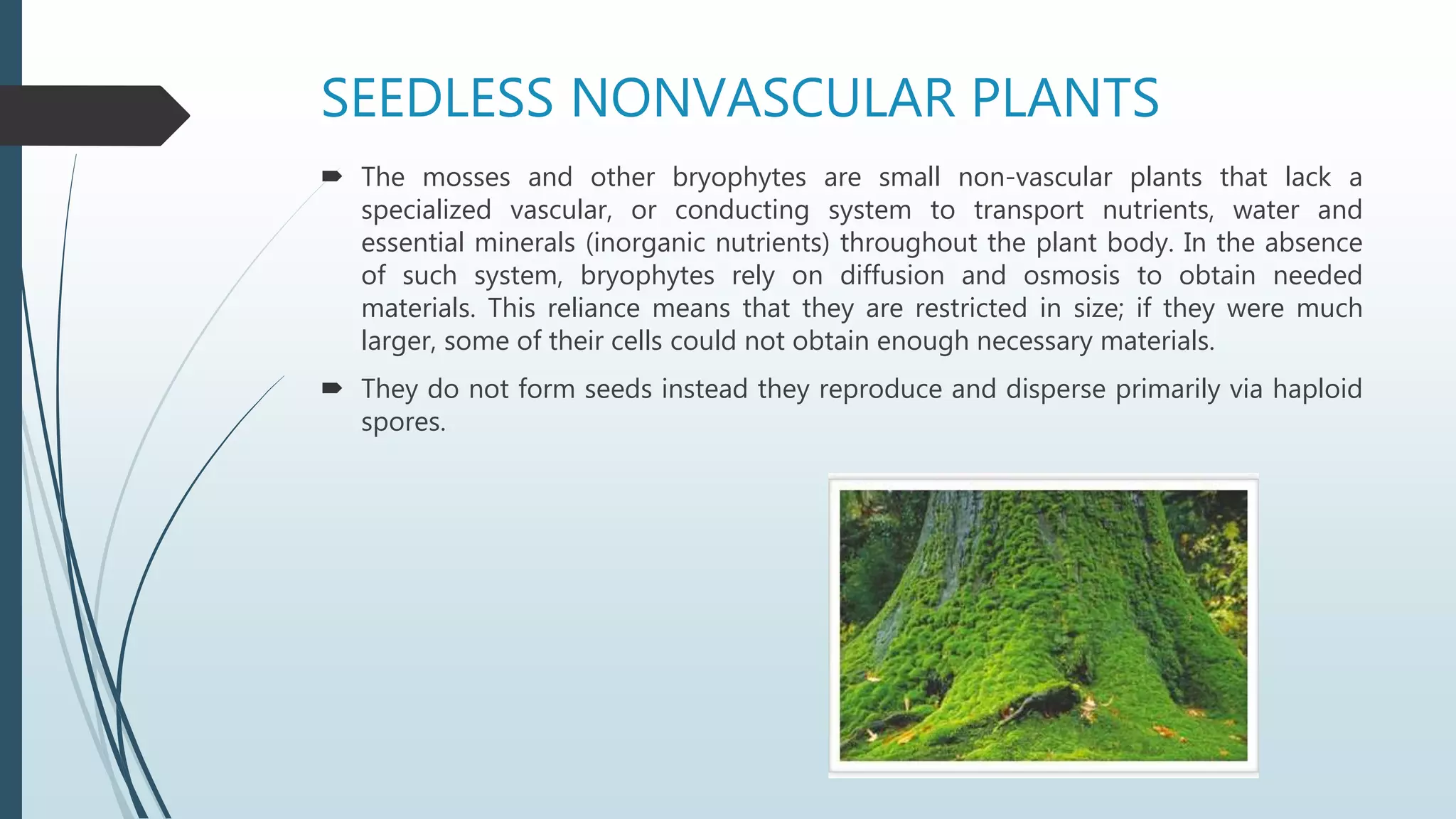 Plant and animal biology | PPTX
