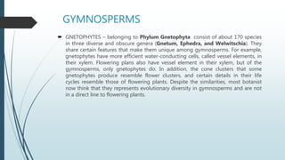 Plant and animal biology | PPTX