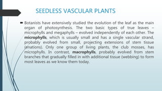 Plant and animal biology | PPTX