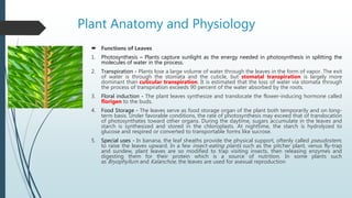 Plant and animal biology | PPTX