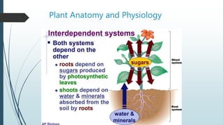 Plant and animal biology | PPTX