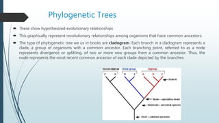 Plant and animal biology | PPTX