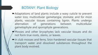plant and animal biology presentation.pptx