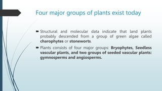 plant and animal biology presentation.pptx