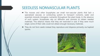 plant and animal biology presentation.pptx