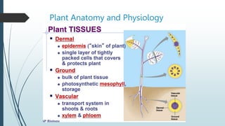 plant and animal biology presentation.pptx