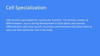 Introduction to Plant and Animal Cell.pptx
