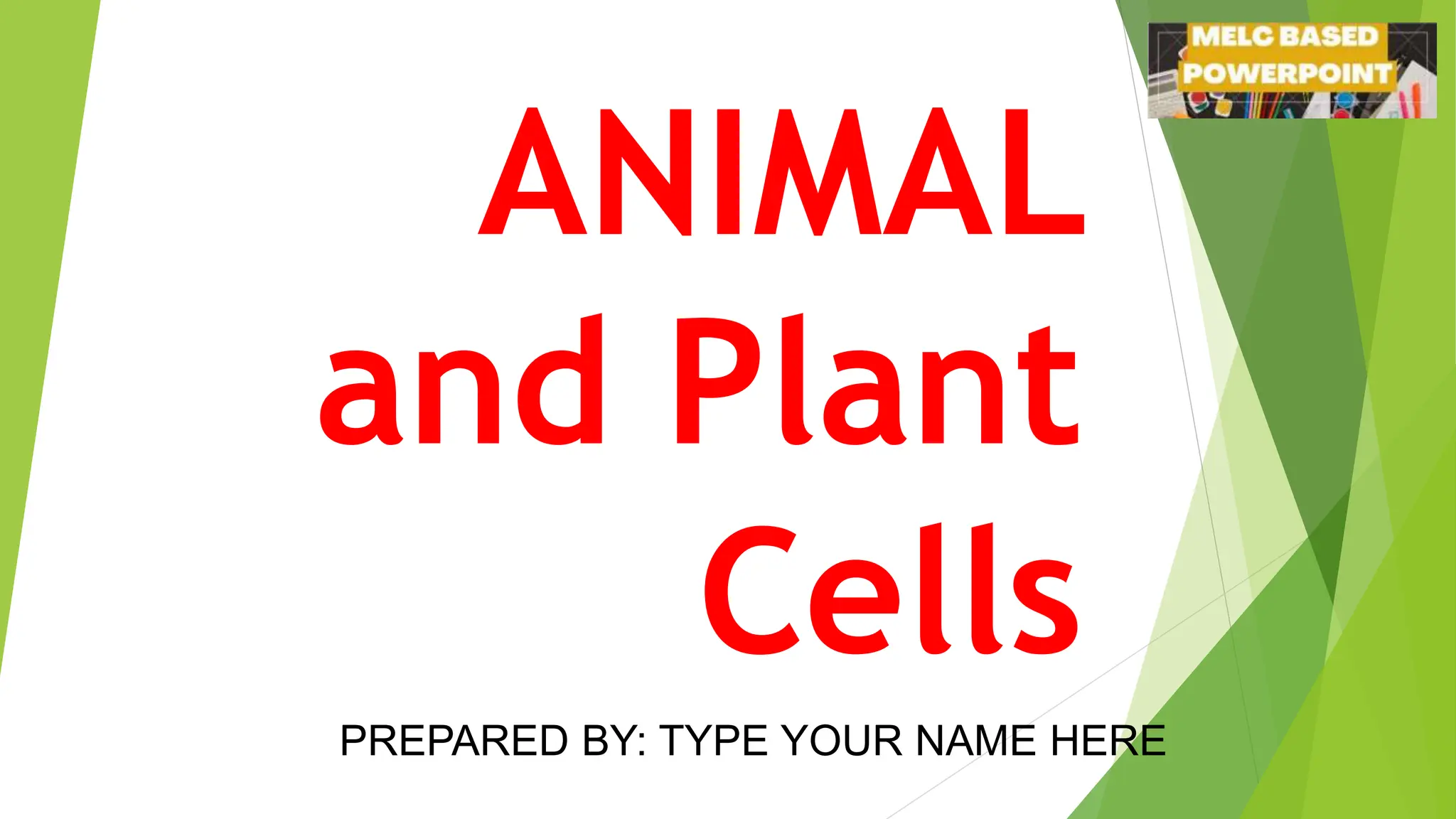 Plant and Animal Cell PowerPoint present | PPTX