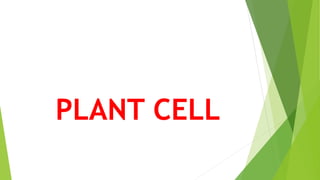 Plant and Animal Cell PowerPoint present | PPTX