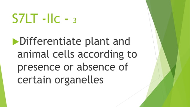 Plant and Animal Cell PowerPoint present | PPT