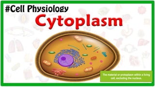 Plant and Animal Cell PowerPoint present | PPTX