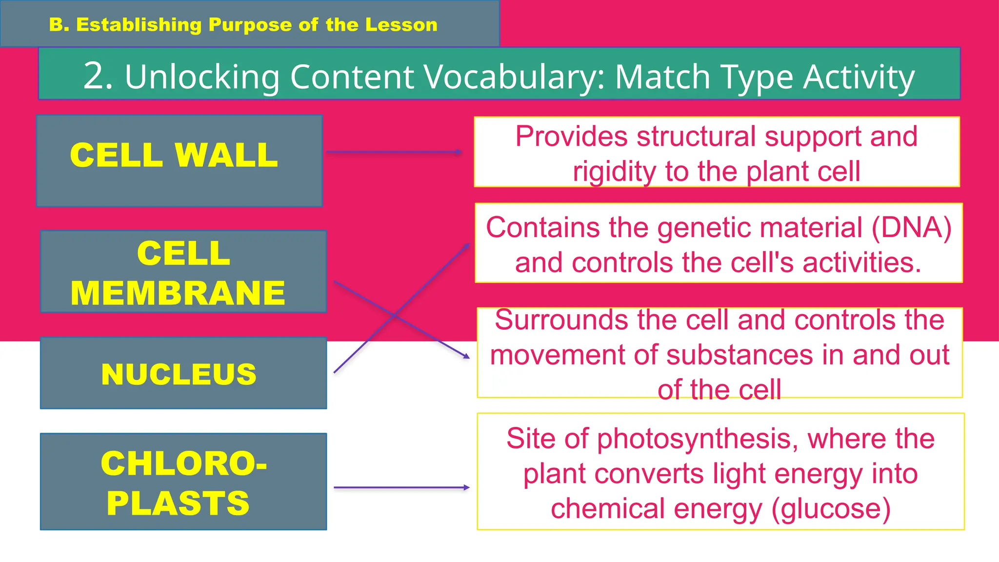 Plant and Animal Cell grade 7 lesson proper | PPTX