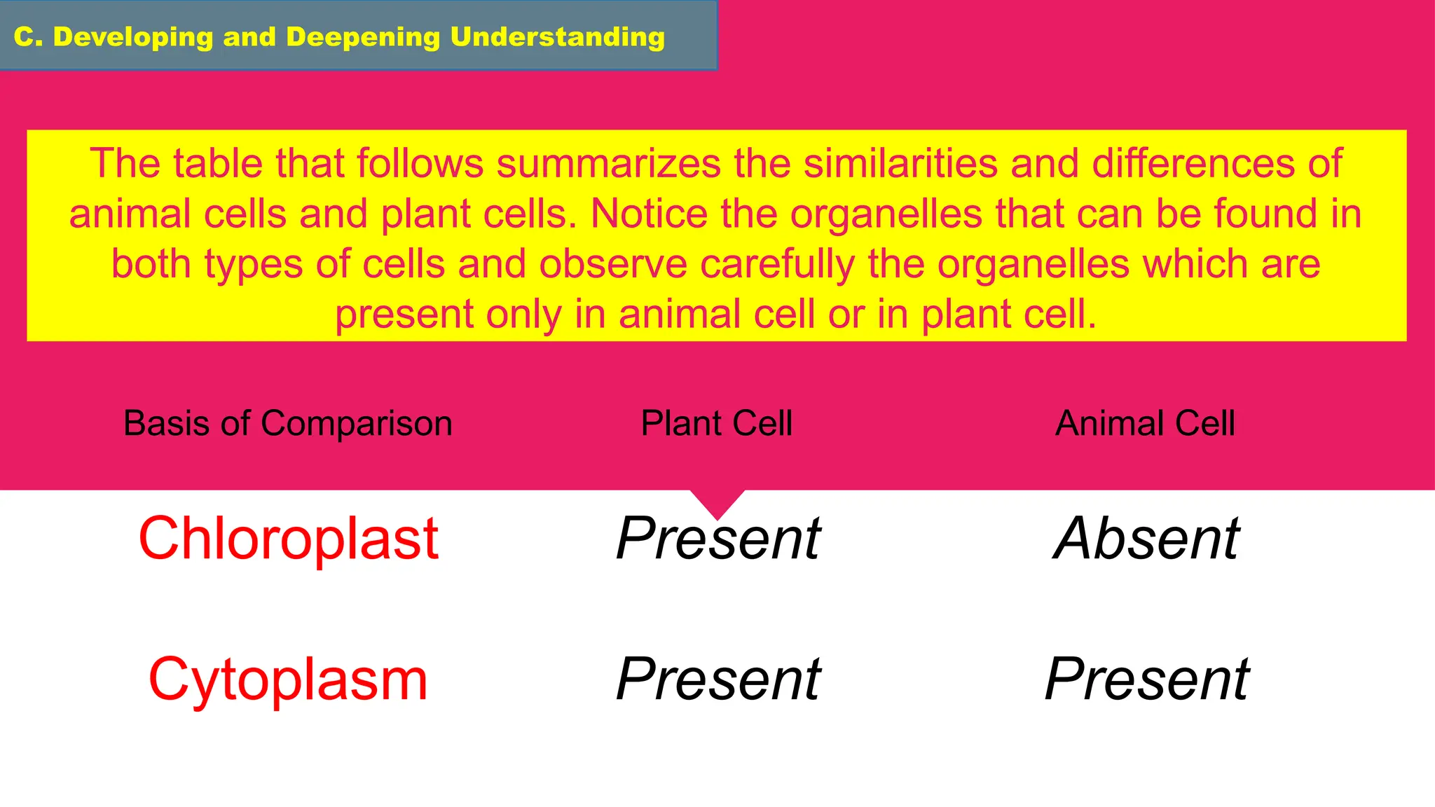 Plant and Animal Cell grade 7 lesson proper | PPTX