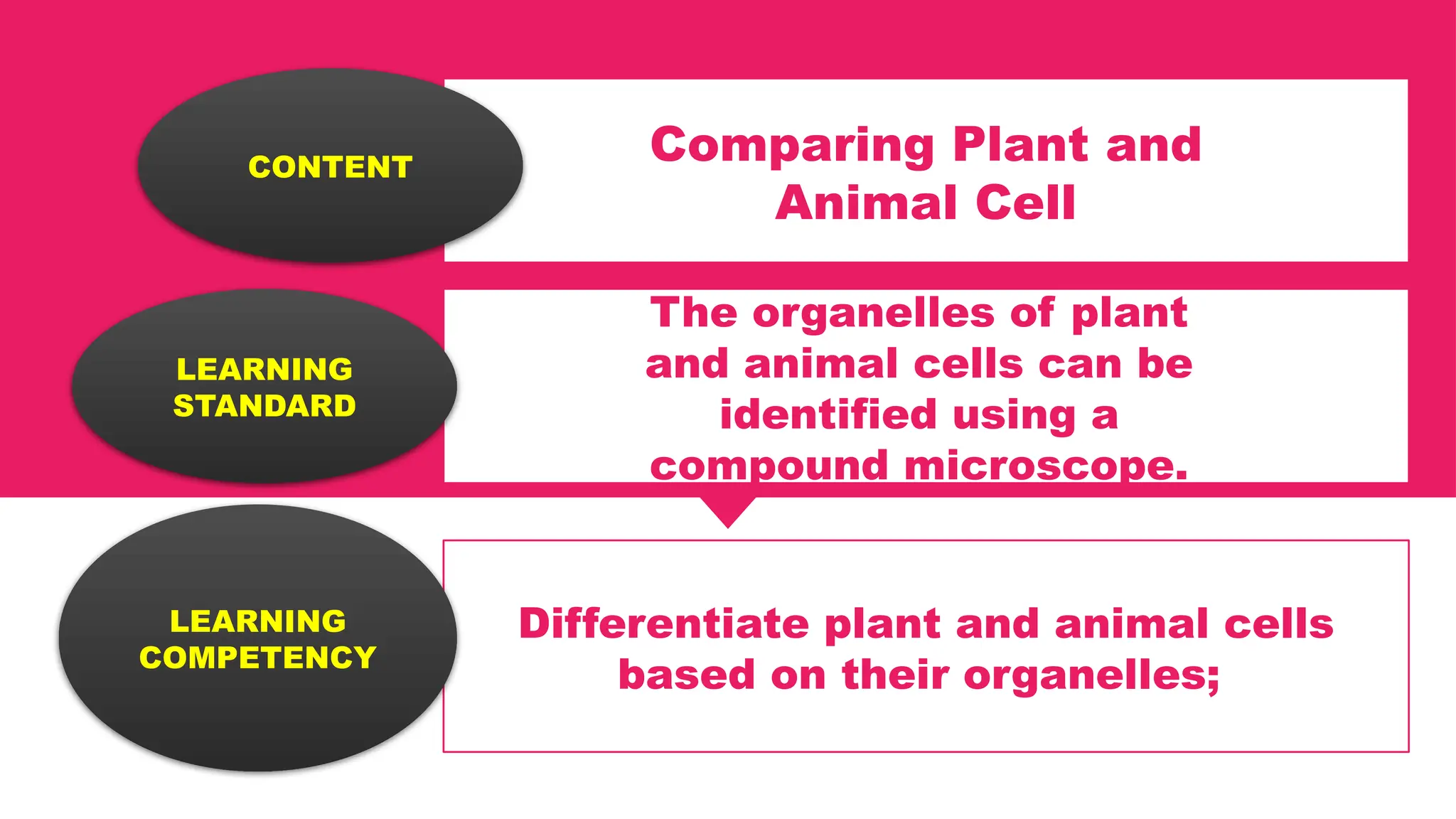 Plant and Animal Cell grade 7 lesson proper | PPTX