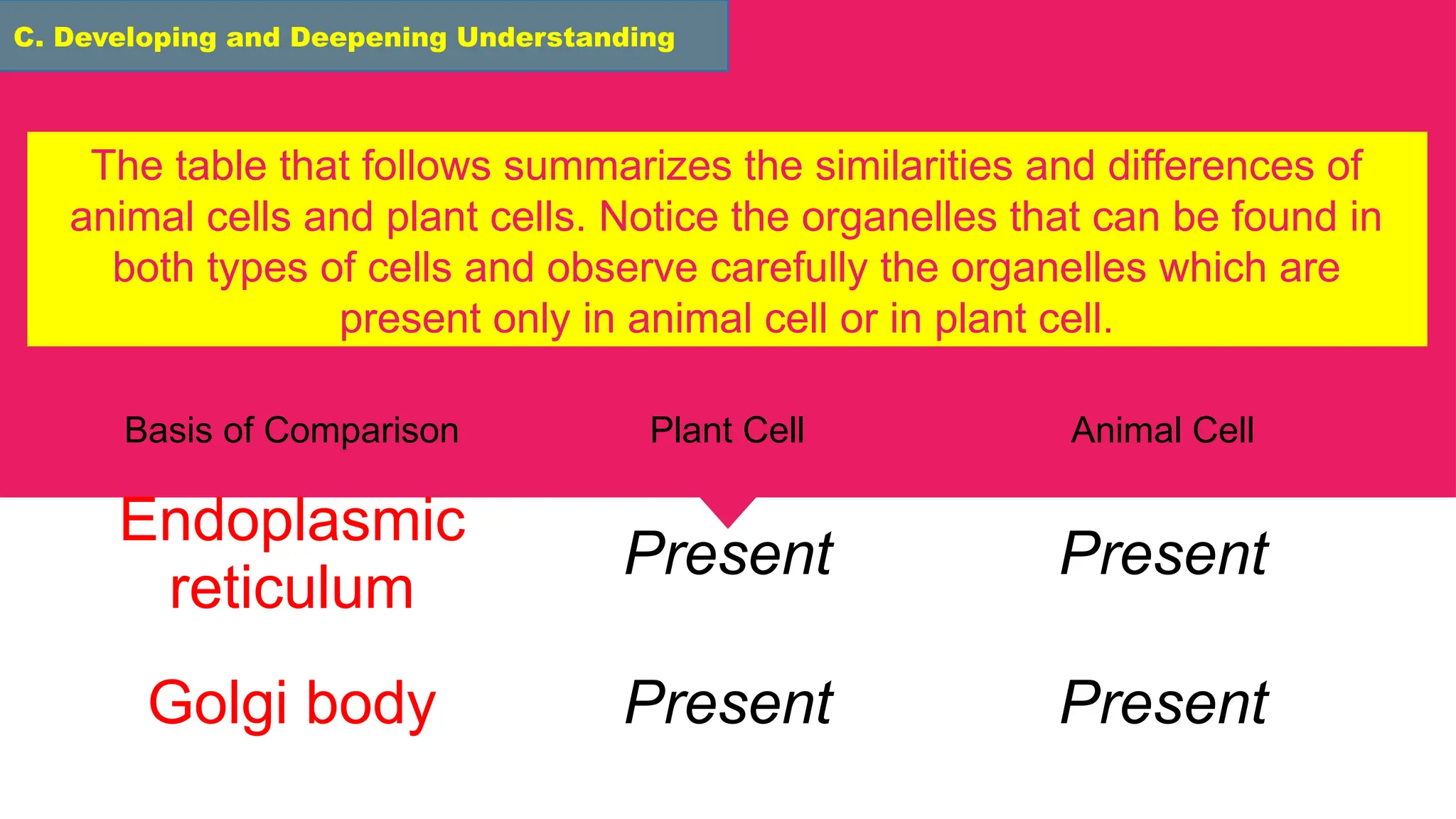 Plant and Animal Cell grade 7 lesson proper | PPTX