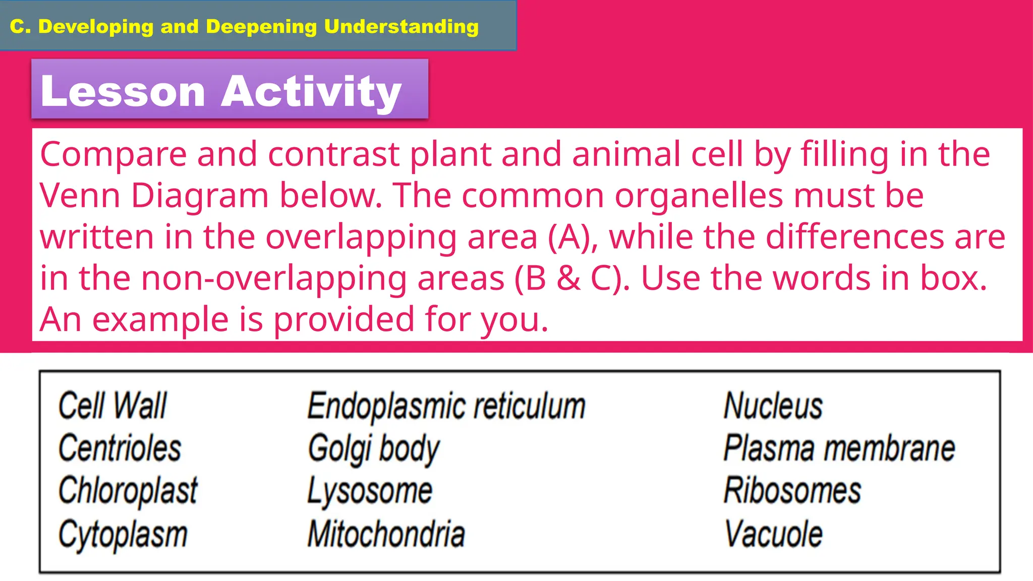 Plant and Animal Cell grade 7 lesson proper | PPTX
