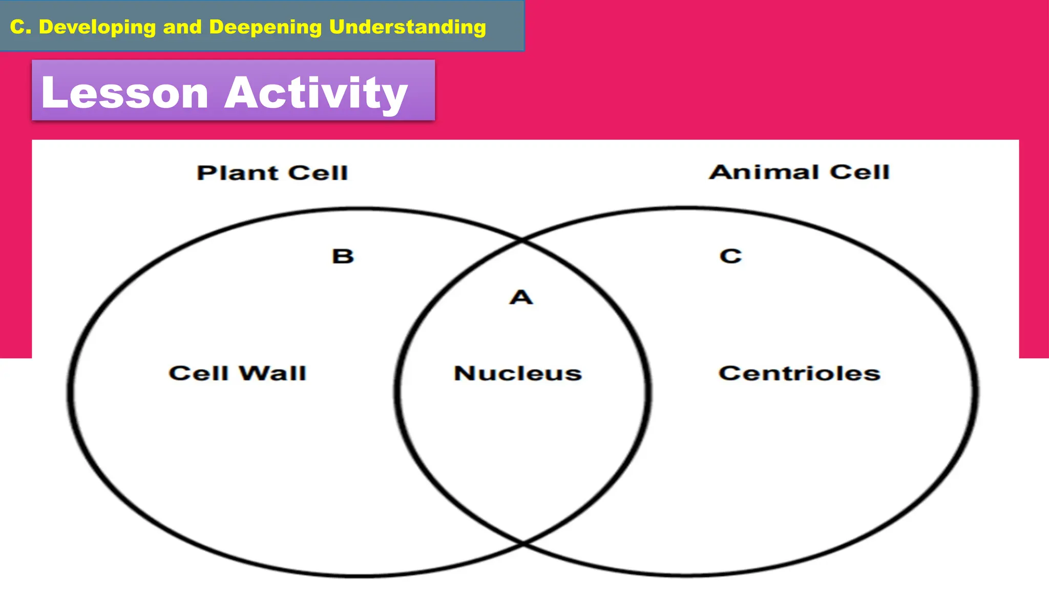 Plant and Animal Cell grade 7 lesson proper | PPTX