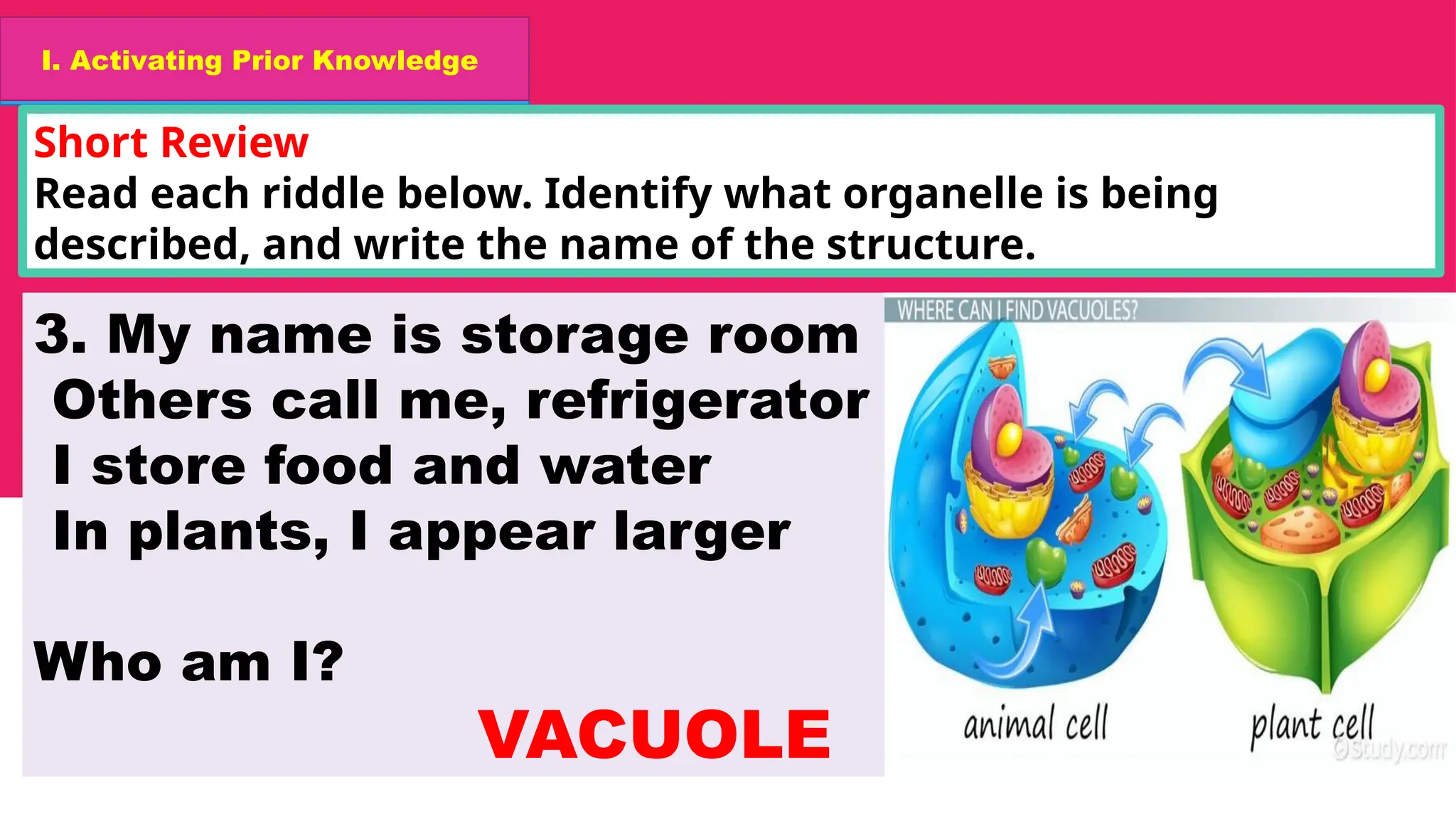 Plant and Animal Cell grade 7 lesson proper | PPTX