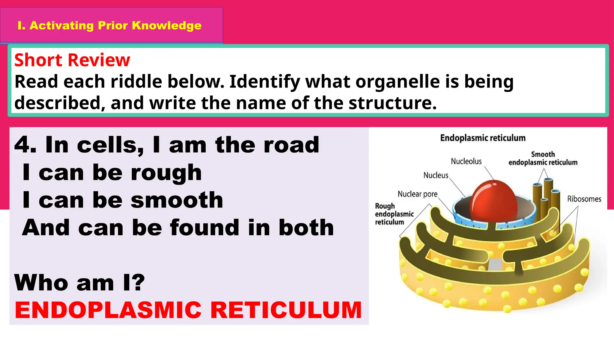 Plant and Animal Cell grade 7 lesson proper | PPTX