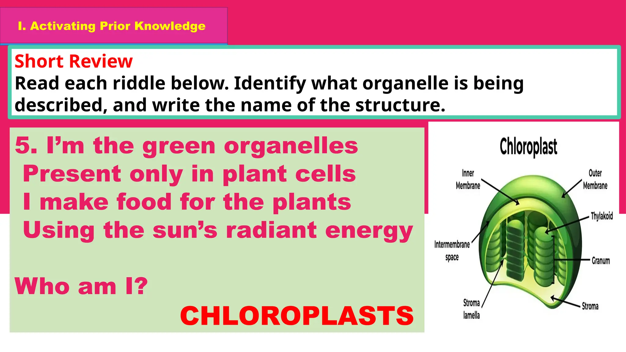 Plant and Animal Cell grade 7 lesson proper | PPTX