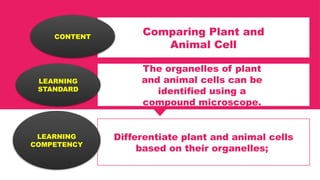 Plant and Animal Cell grade 7 lesson proper | PPTX