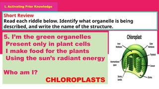Plant and Animal Cell grade 7 lesson proper | PPTX