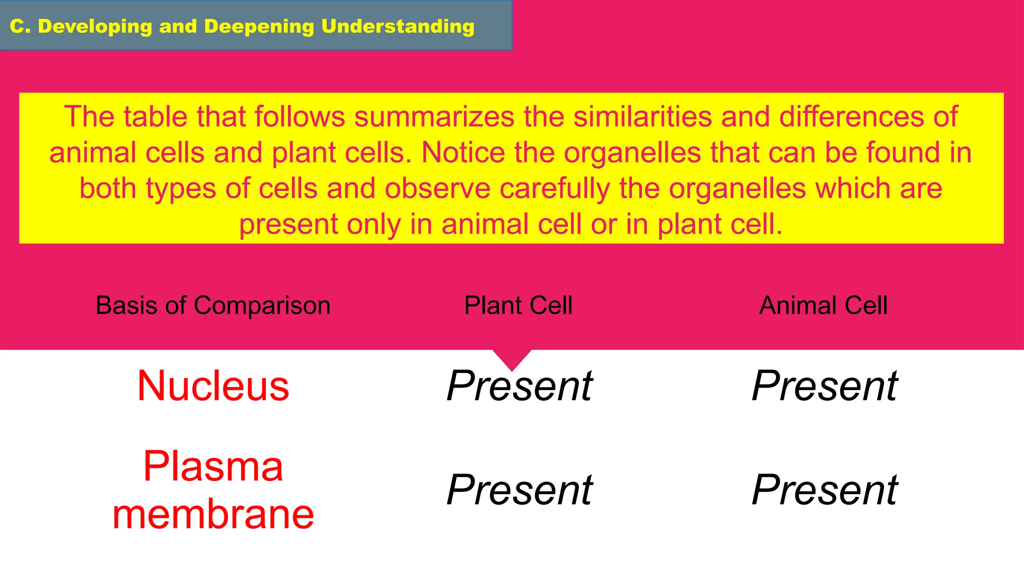PRESENTATION ON THE LESSON Plant and Animal Cell.pptx