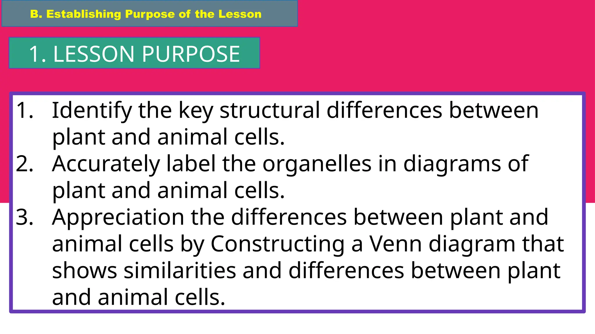 PRESENTATION ON THE LESSON Plant and Animal Cell.pptx
