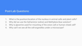 Comprehensive Overview of Cell Types and Structures in Biology | PDF