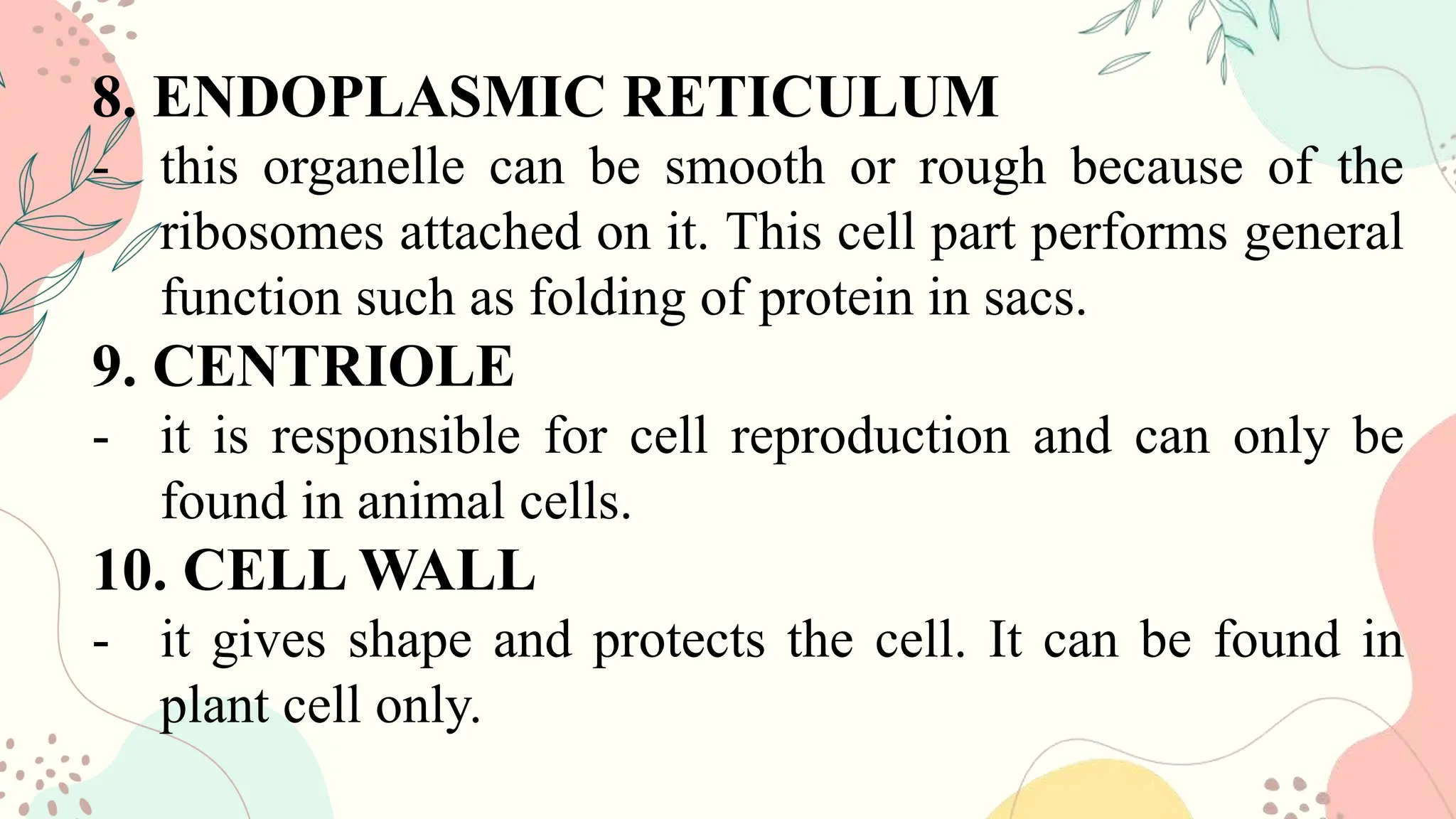 Plant and Animal Cells.pptx