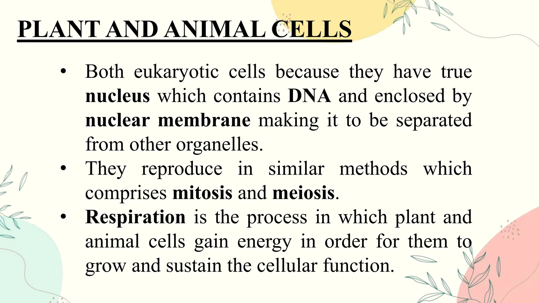 Plant and Animal Cells.pptx