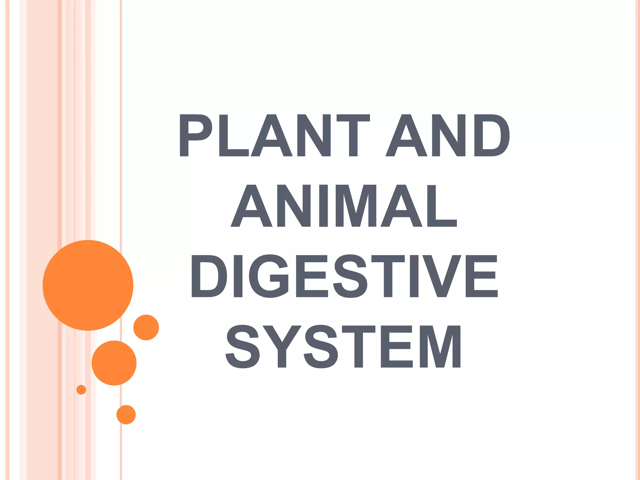Plant and Animal Digestive System | PPTX