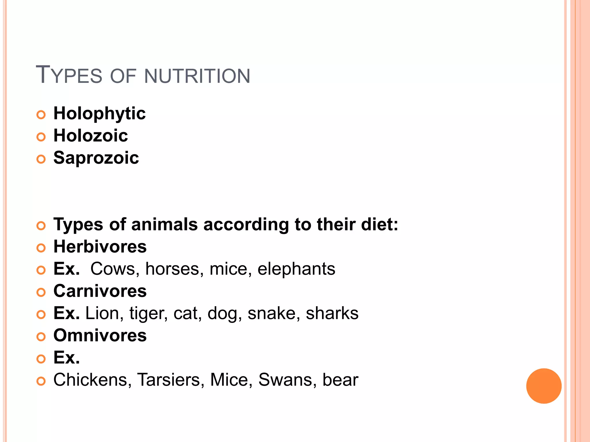 Plant and Animal Digestive System | PPTX