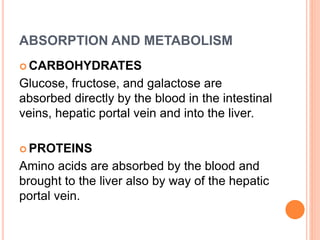 Plant and Animal Digestive System | PPTX