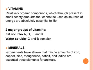 Plant and Animal Digestive System | PPTX