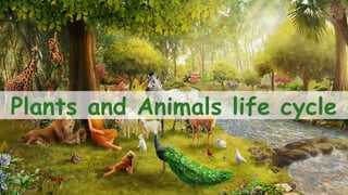 Living things-Plant and Animal Life Cycle.pptx