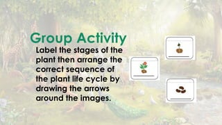Living things-Plant and Animal Life Cycle.pptx