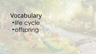 Living things-Plant and Animal Life Cycle.pptx